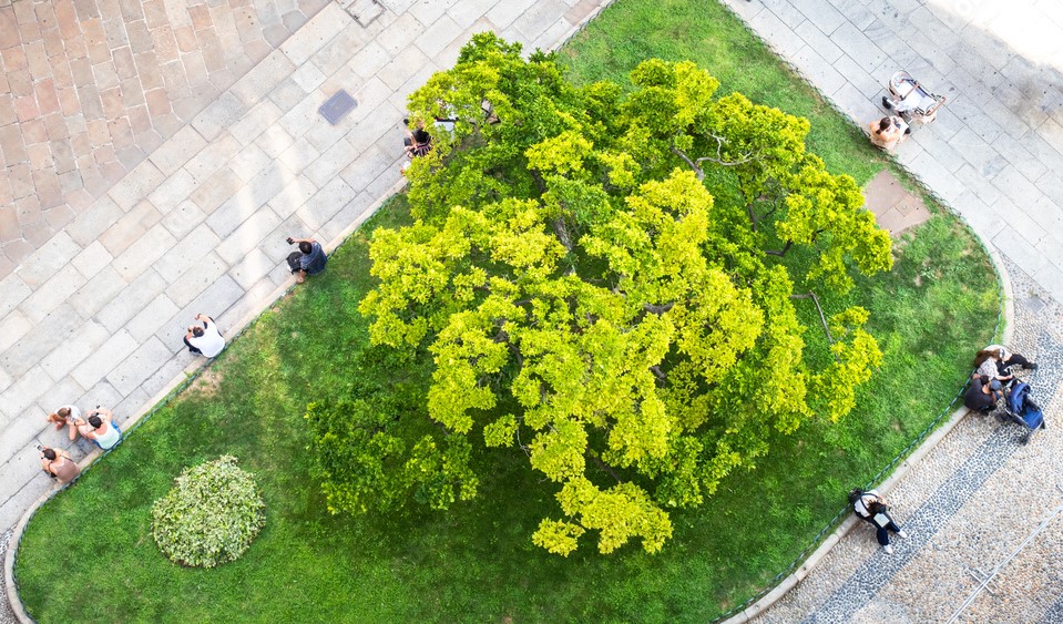 Home Page-Dip.Informatica-Università degli Studi di Verona